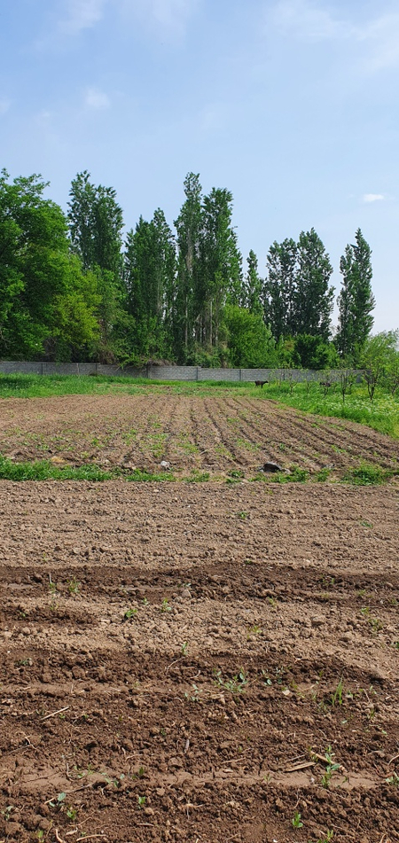 Продам участок таваксай 30 сот