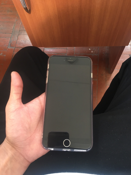 Iphone 6s plus 64 gb 100 yomks