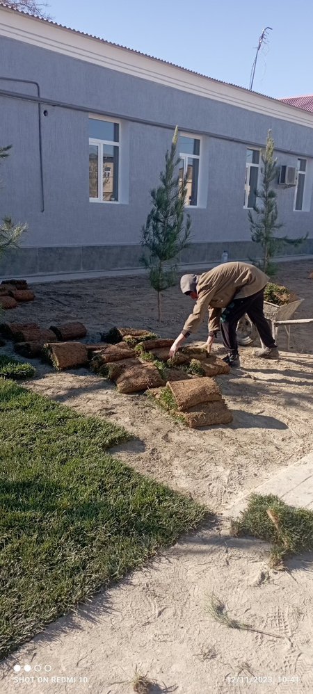 Gazon Ekish Xizmati