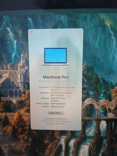 MacBook pro 13 notebook