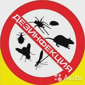 Дезинфекция: Скидки до15% 1 год Гарантии! Клопы,Тараканы,Крысы и т.д