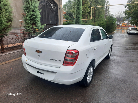 Cobalt 2024 20km