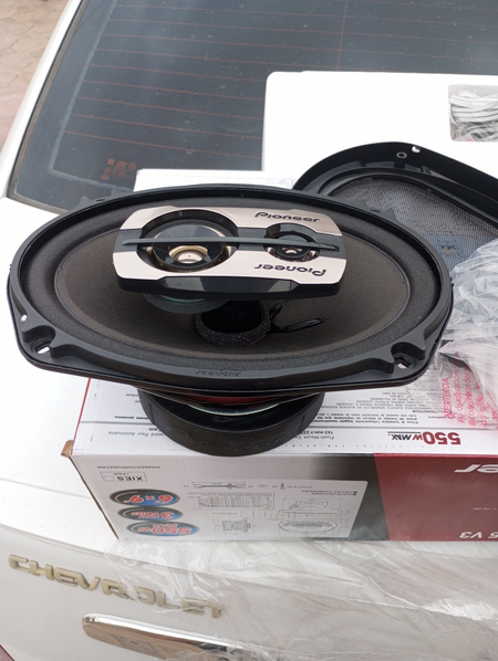 Pioneer chempion