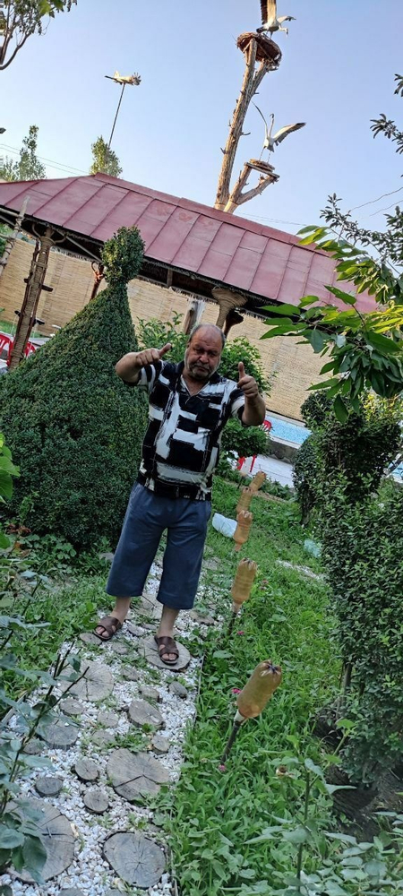Samarqanda ish faoliyat yuritayotgan Javani Garden dachasi