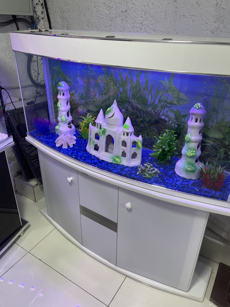 Oq akvarium yengi 220 litr Alikaponiy peshanasi