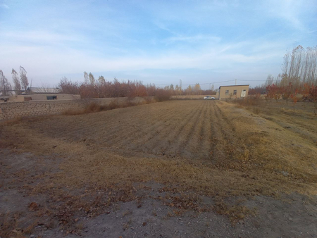 Томорка сотилади