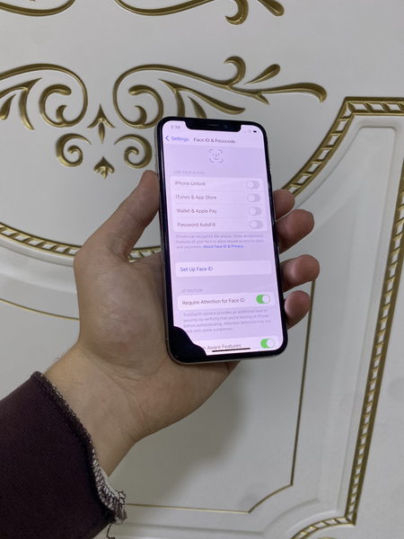 Iphone X karopka dakument bor