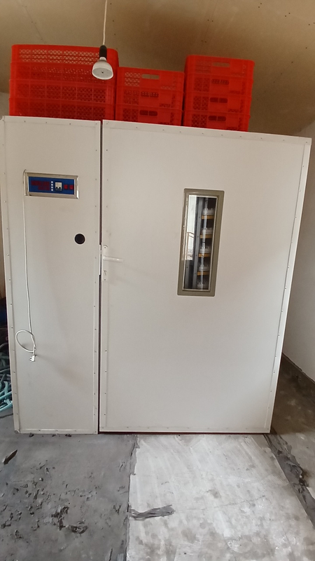 Inkubator 5000 talik