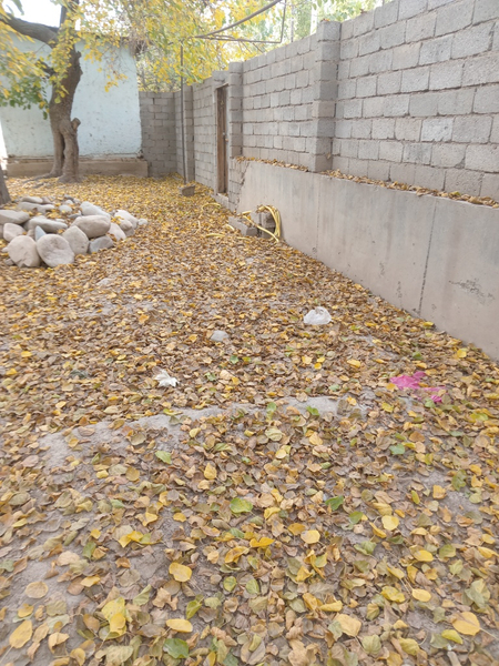 Uchastka sotiladi xovli xolati urtacha xamma sharoitlari bor