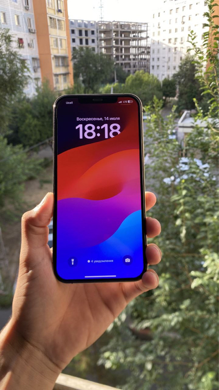 iPhone 12 Pro Max
