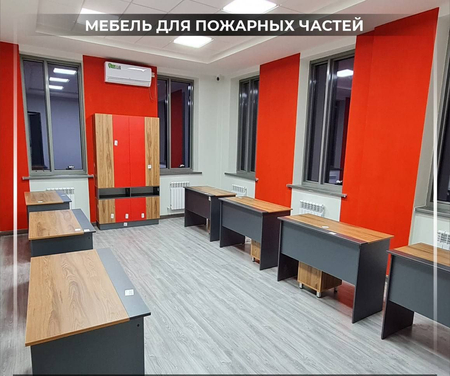 Мебель на заказ государственный и частный школ. Письменный стол .полка