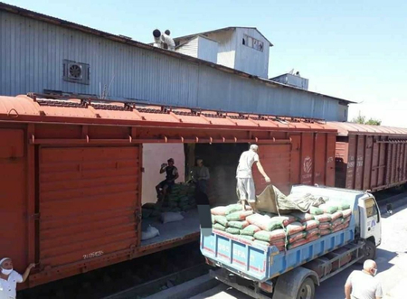 STANDARD450 QOZOQ 1-QO'L OPTOM sement cement цемент семент