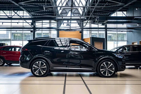 Gonzo Motors - BYD Tang Champion Edition