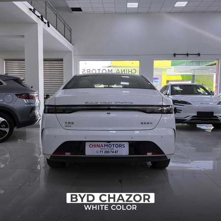 Byd chazor dm-i 110km