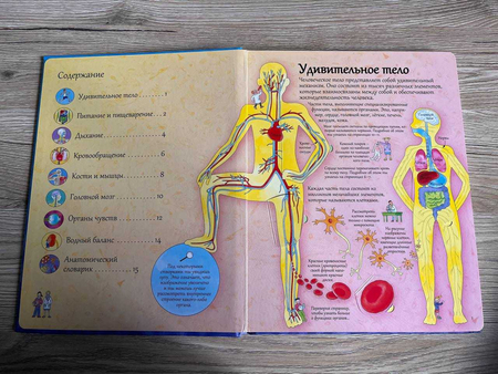 Открой тайны человека издательство робинс