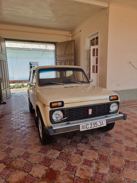 Niva holati idyal