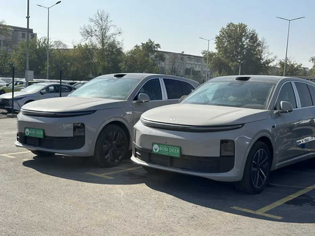 Li 6 Max Bolib tolash imkoni bor
