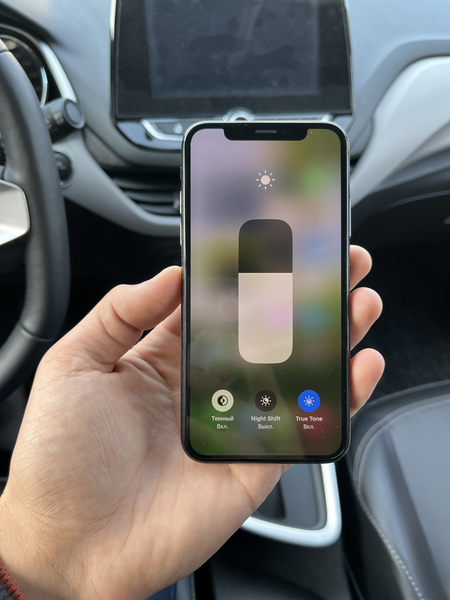 Iphone X 64gb 100%