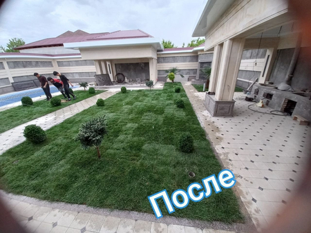 Gazon va chim yotqizish xizmati. O'z ishimizni sifatiga javob beramiz.