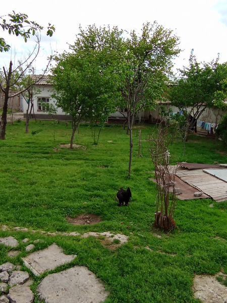Uchastka sotiladi
