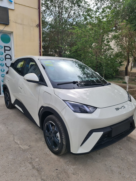 BYD Seagull full pozidsiya