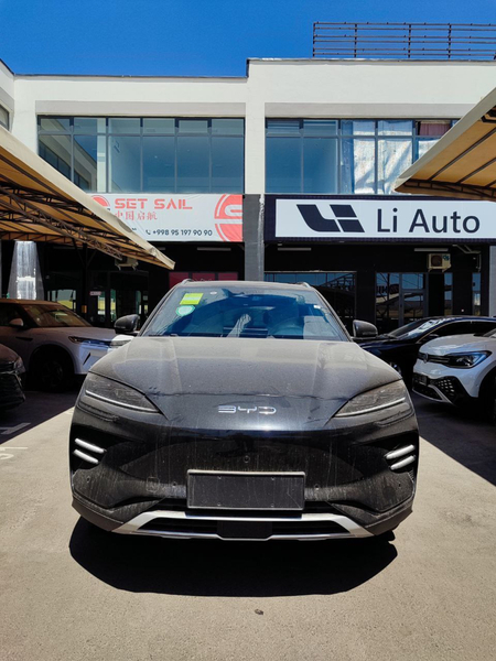 Byd chenpion nalicha