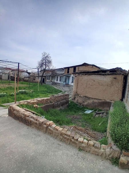 Yer sotiladi toshkent tumani novoyida 46 sutu 350000$min