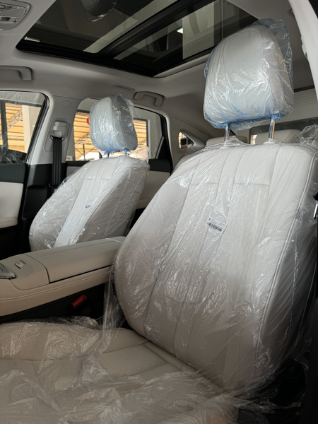 Gac aion s max full 610km