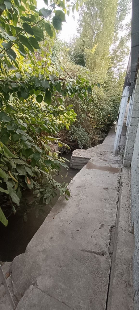 Ferma tayor 15 sotkali joy yer narxida sotaman