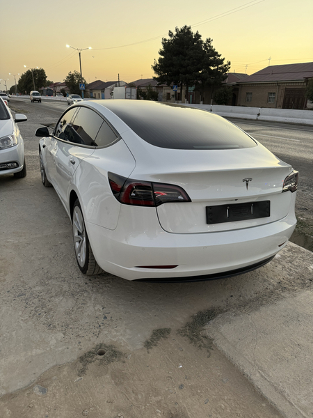 Tesla model 3 dual mator