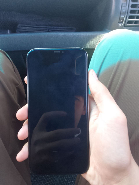 Iphone 12 pro max ideal