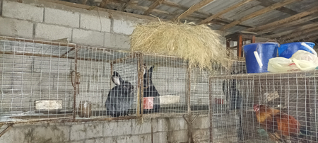 Продам клетки для кроликов
