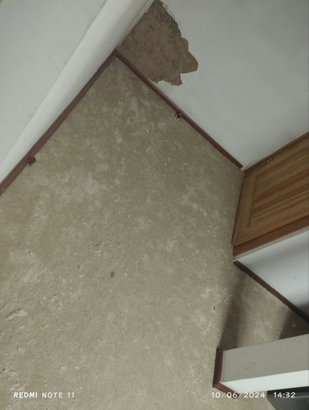 Kavralan gilam optim sotamiz ustonofka qilamiz