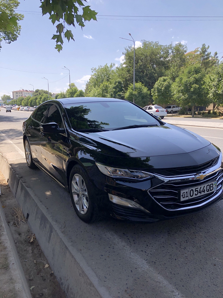 Malibu 2 Premier 2021