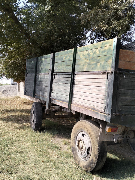 Dakmint bor dakmint joyida beradi