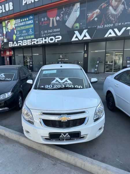 COBALT OQ 2024 yılı