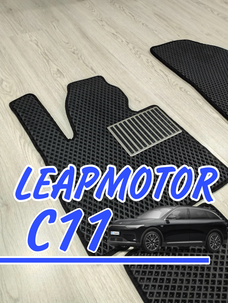 LEAPMOTOR C11/ Evakor/Polik