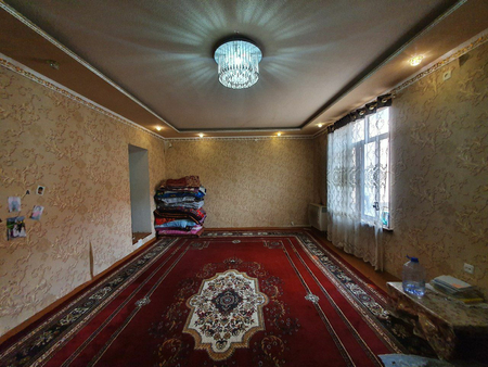 Дом 4.5 соток кишмишка