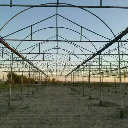 Sifatli issihona tom naves
