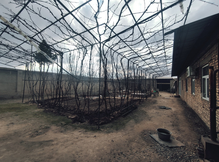 Srochno sotiladi Manzil:Qarshi sh.Aralovul mahallasi Narxi kelishiladi