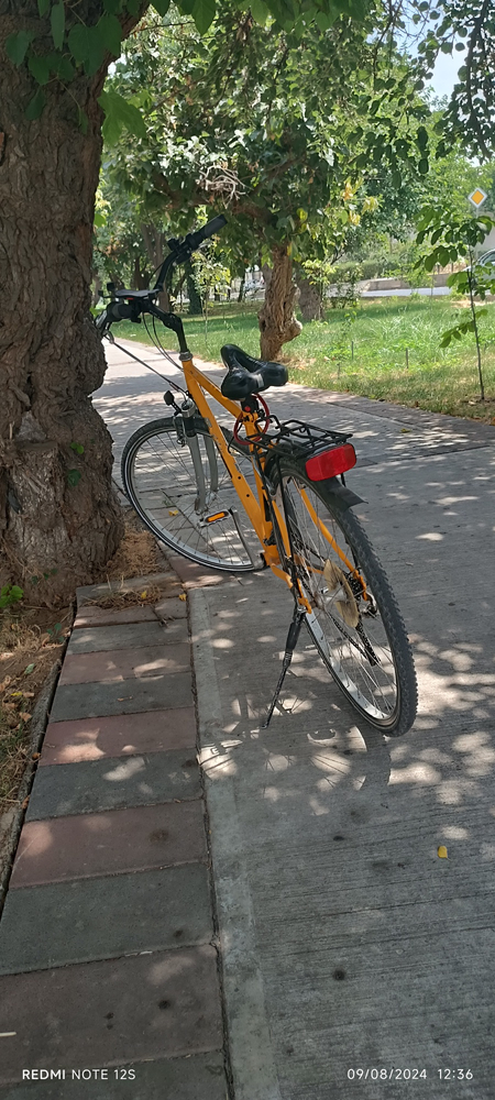 Tarnado, Germaniya velosipedi, arendaga beriladi, yengil velosiped