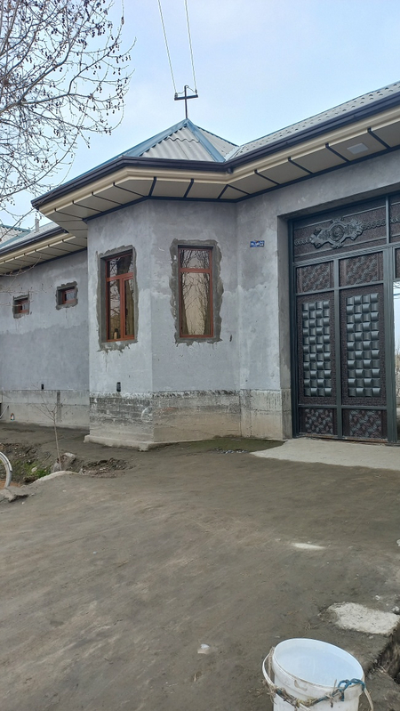 Tunikabond xizmatlari
