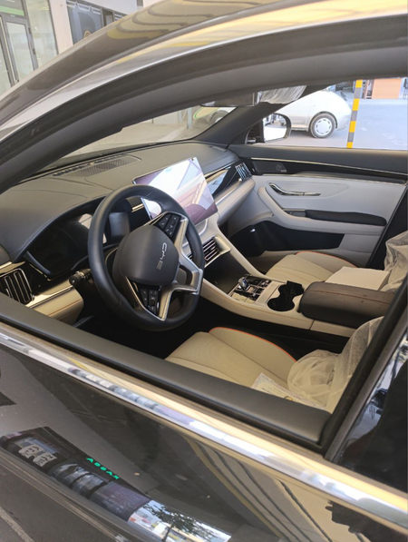 BYD chempion 2025 restyling  3 ta qoldi