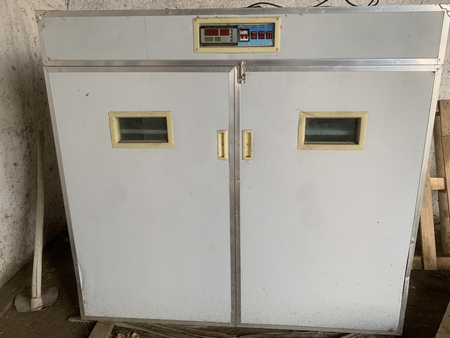 Inkubator 4200 talik