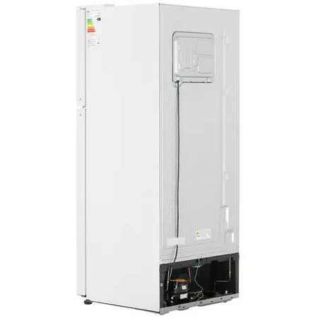 Холодильник Samsung RT38CG6000WWWT