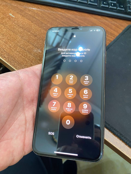 Iphone Xs Max 256 Gb ideal 79% radnoy