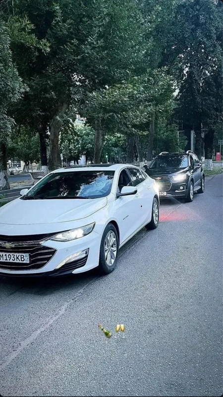 хархил турдаги автомобилар ренткар