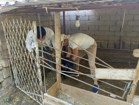 Avitsenna Vet veterinariya xizmati