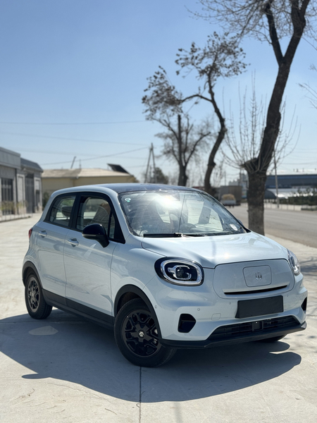 Leapmotor T03 403 km Full