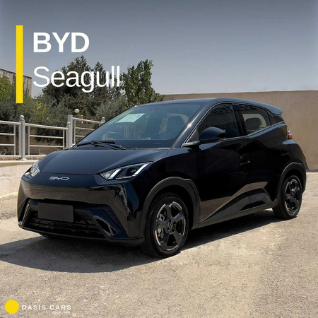 BYD Seagull arzon va kafolatli